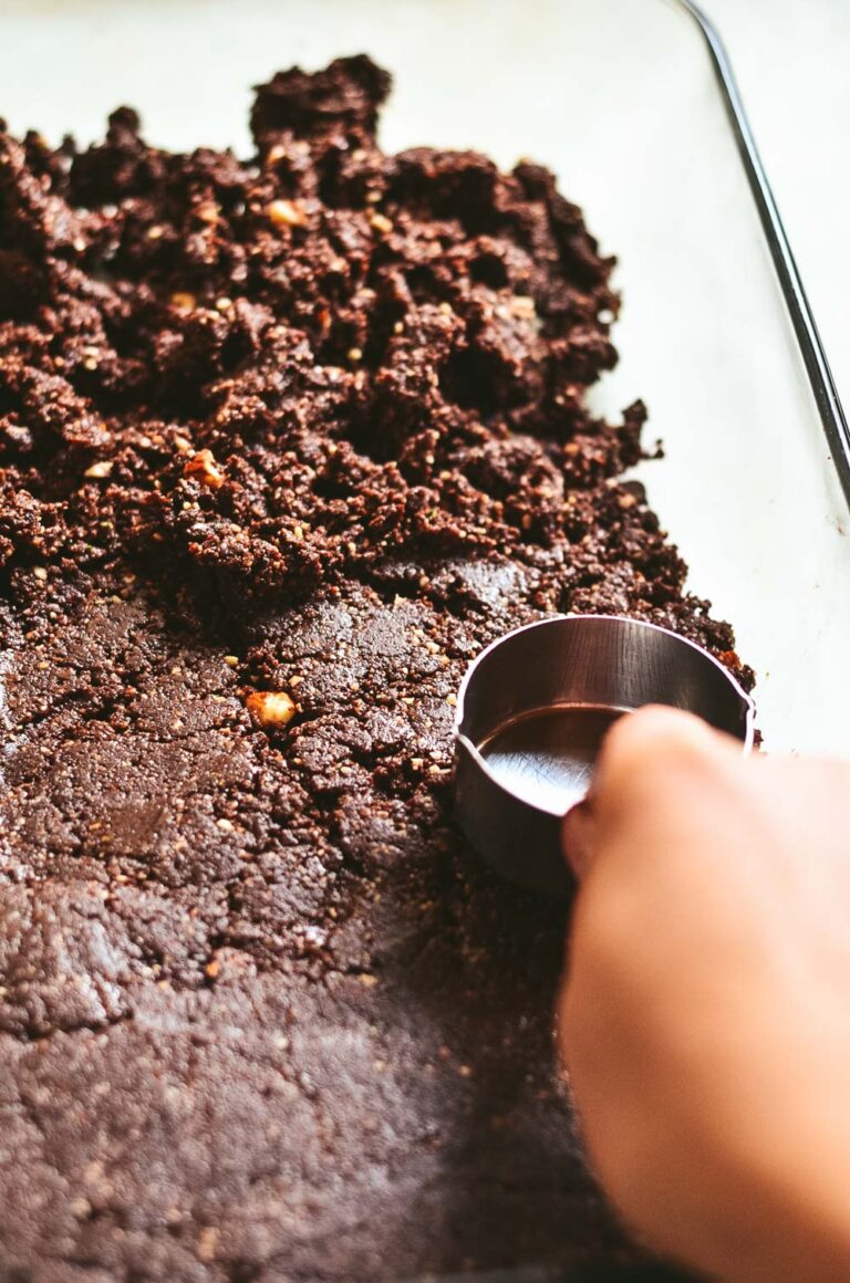 Homemade RX Bars without Egg White Powder - Beside the Mountain