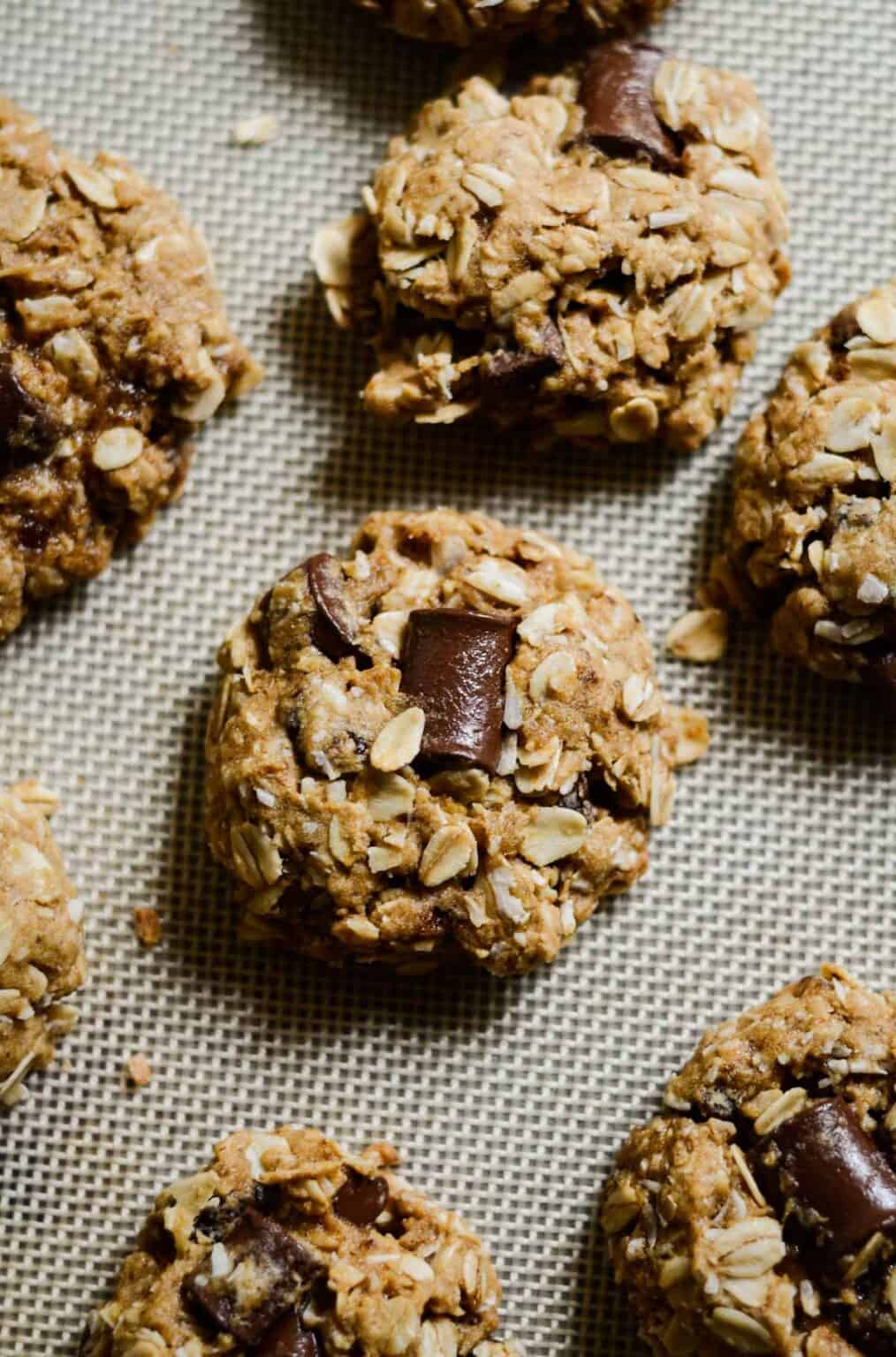 Easy Oatmeal Cookies (No Eggs) - Beside the Mountain
