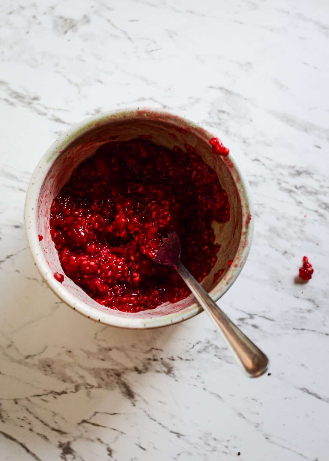 Raspberry Bites - Beside the Mountain