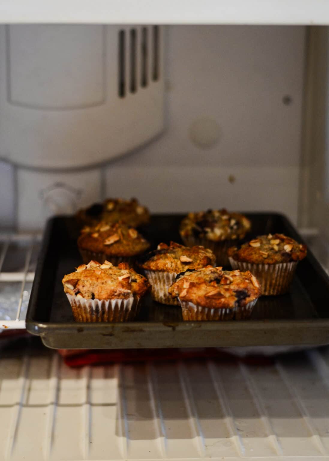 The Ultimate Guide to Freezing Muffins - Beside the Mountain