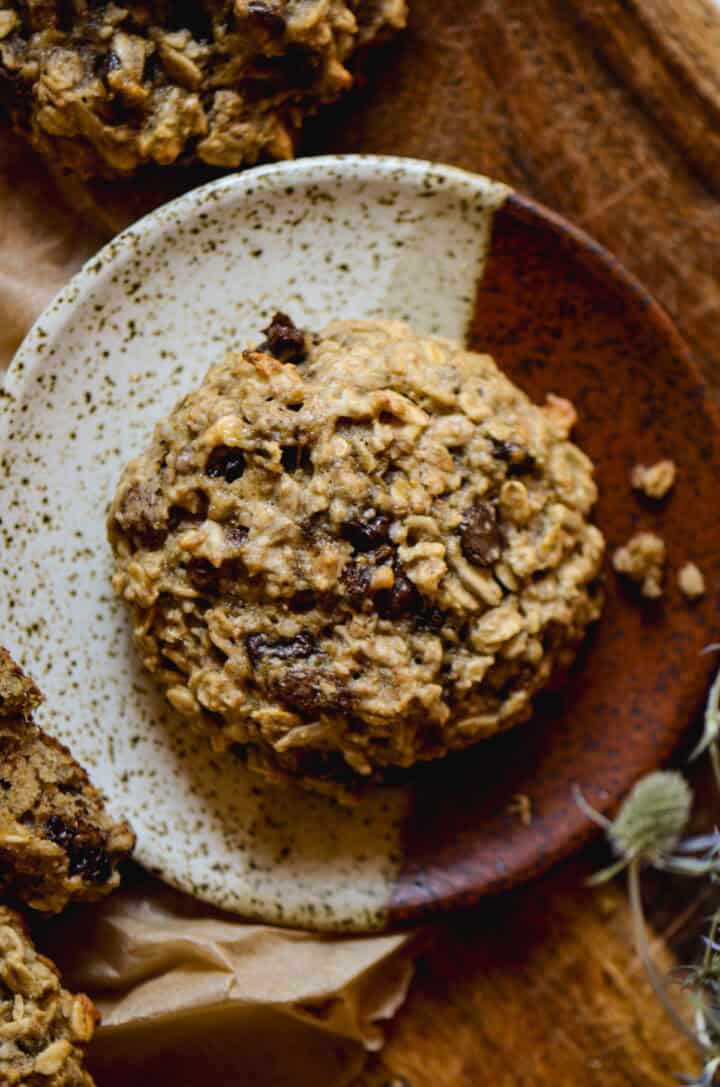 Jumbo Breakfast Cookies - Beside the Mountain