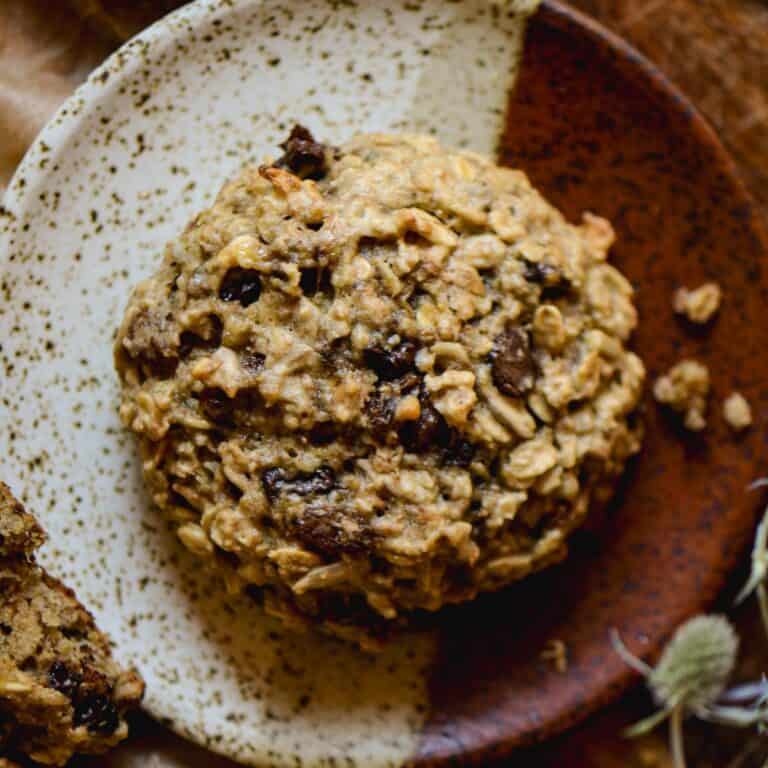 Jumbo Breakfast Cookies - Beside the Mountain