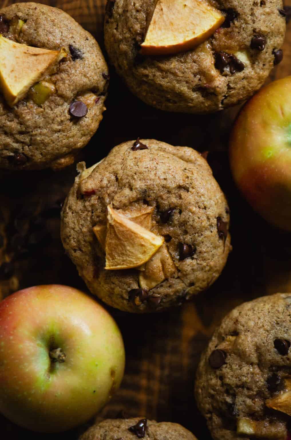Apple Chocolate Chip Muffins - Beside the Mountain